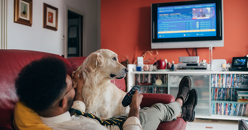 テレビ画面で動画サービスを視聴する人のリアル②〜生活者と「映像コンテンツ」の"いま・これから" 第四回〜｜VR Digest plus メディアとビジネスのミライを見つめる。 | ビデオリサーチ